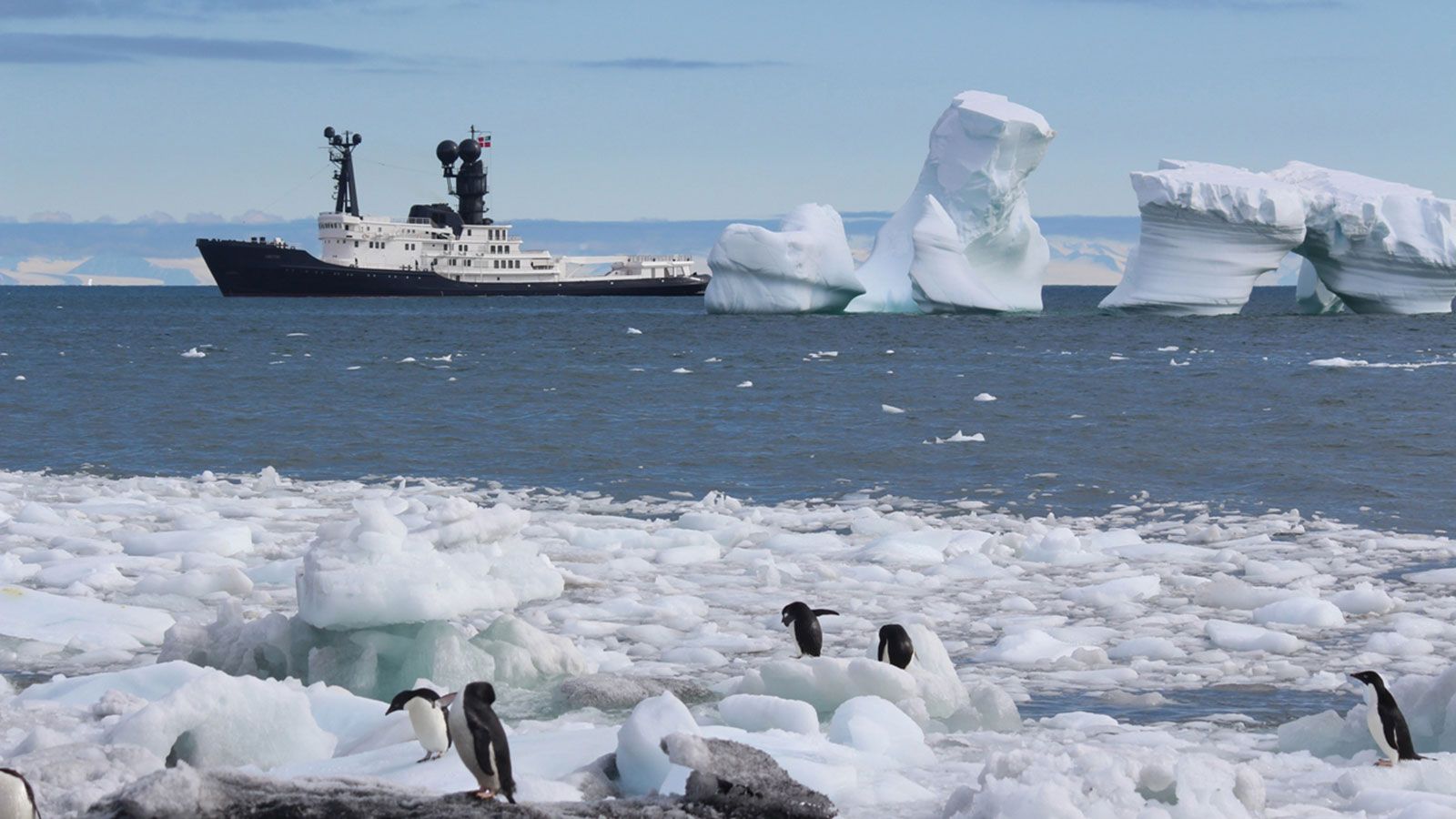 Arctic P and the furthest voyage south ever undertaken